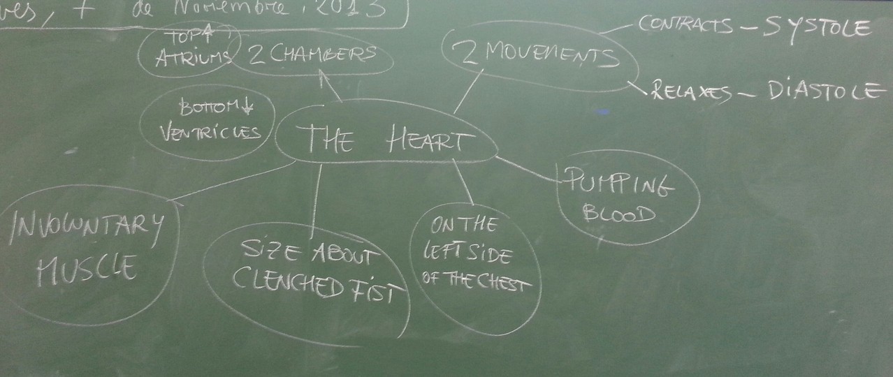 The heart scheme on the blackboard - TIC in Bilingual Classroom at CEIP ...