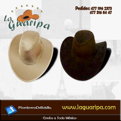 Tu negocio o tu proyecto - Página web de laguaripa