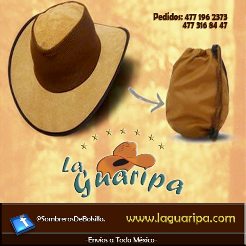 Tu negocio o tu proyecto - Página web de laguaripa