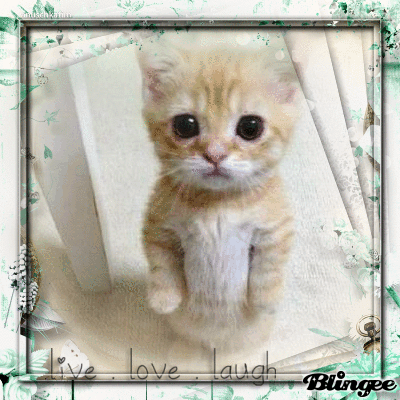 Funny Pictures - anuschkatim-freegifpicturess Webseite!