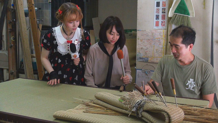 APPEARANCES - Cathy Cat