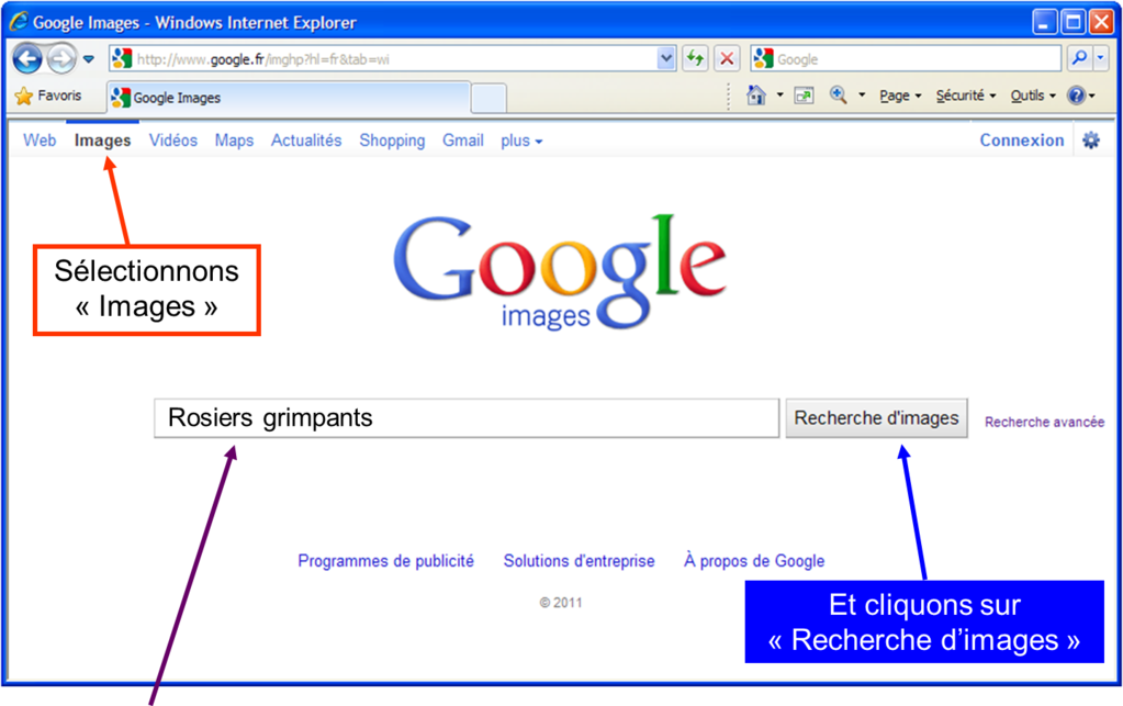 Rechercher Une Image