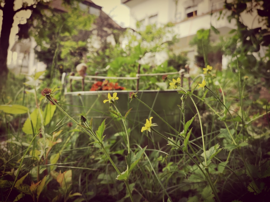 D.I.Y. Kinder-Beet - von elephanten – D.I.Y. und Lifestyle BLOG für ...