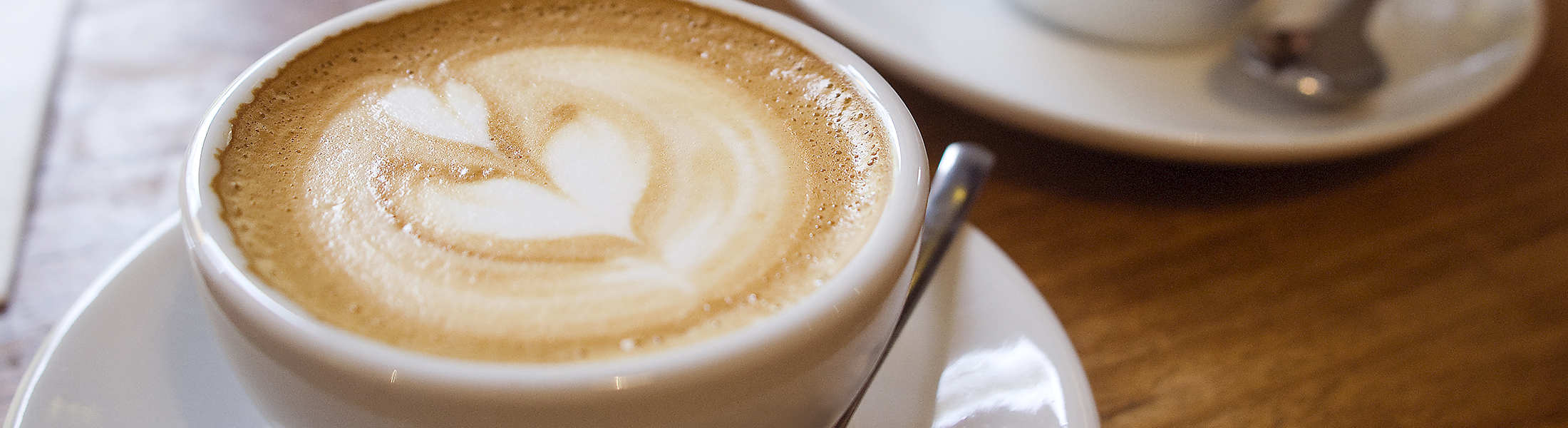 CONTACT - Graphic Match