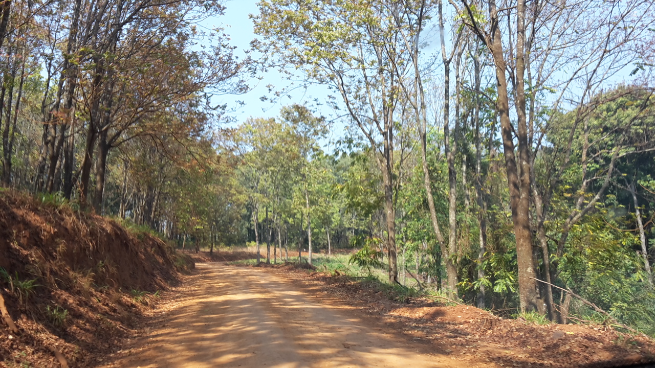 Herbstferien - madietane
