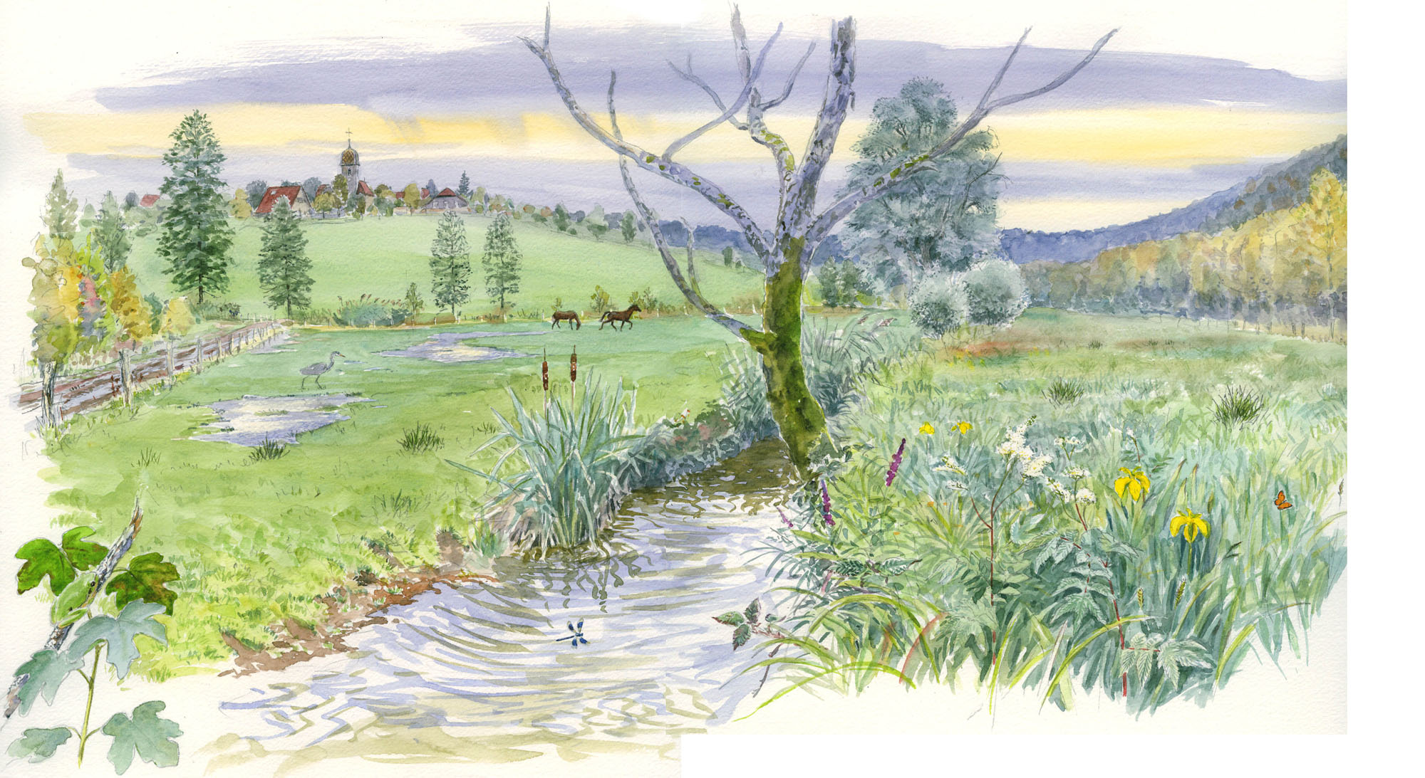 COMPOSITIONS - jean chevallier illustrateur naturaliste peintre animalier