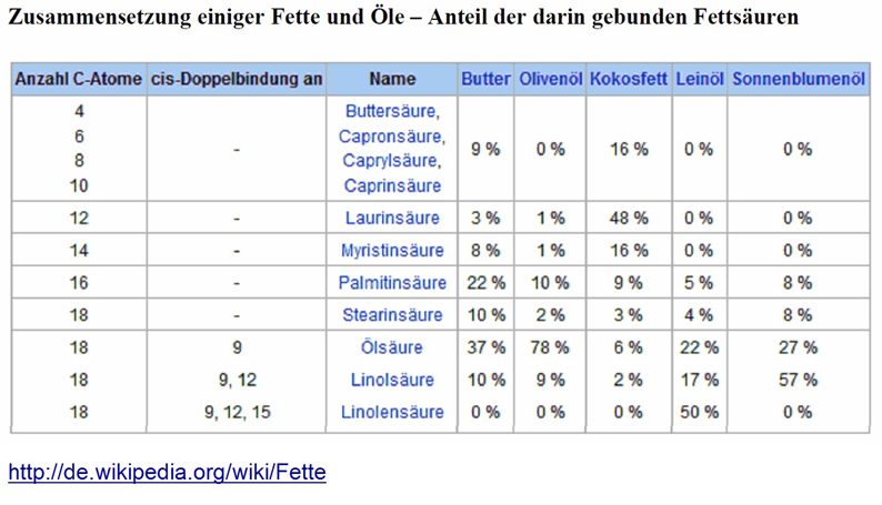 Aufbau von Fettmolekülen - Unterrichtsstunden vom 27/28.04.2017 im ...