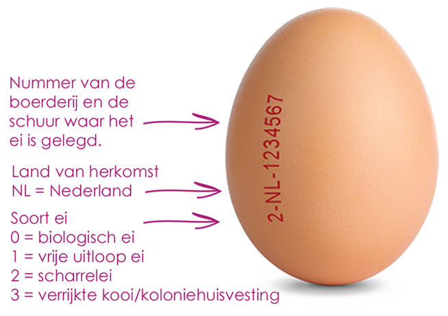 Ei Code - Poelier Wouter van Lagen!