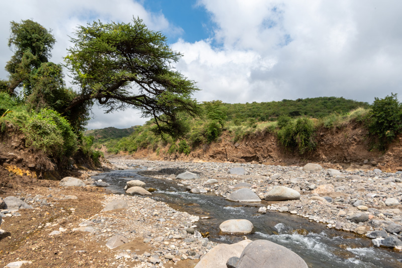 Awash - Les bectrotters, voyages naturalistes