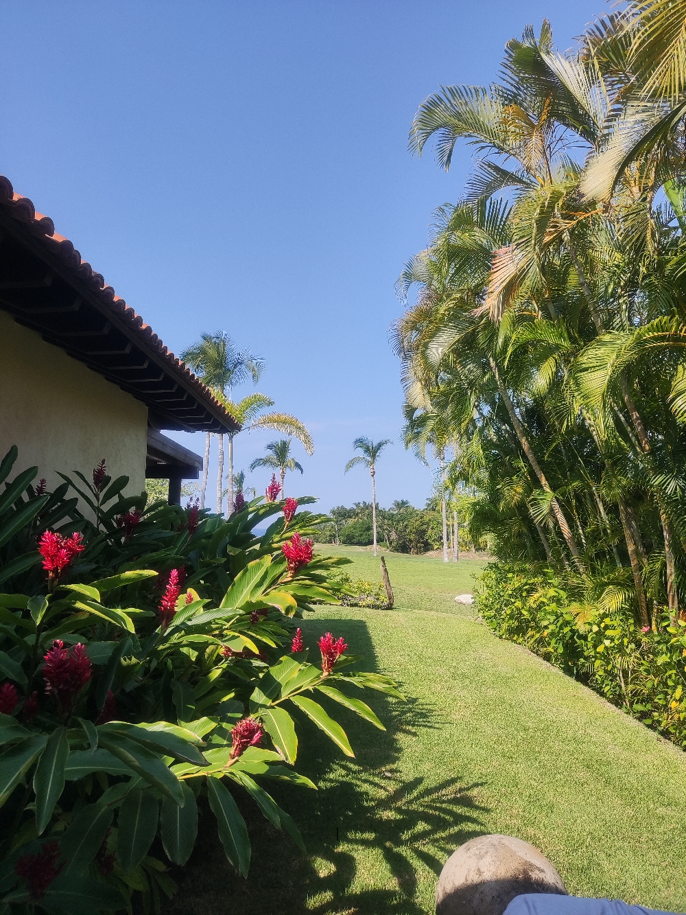 Misterios naturales - Página web de oceanspasayulita