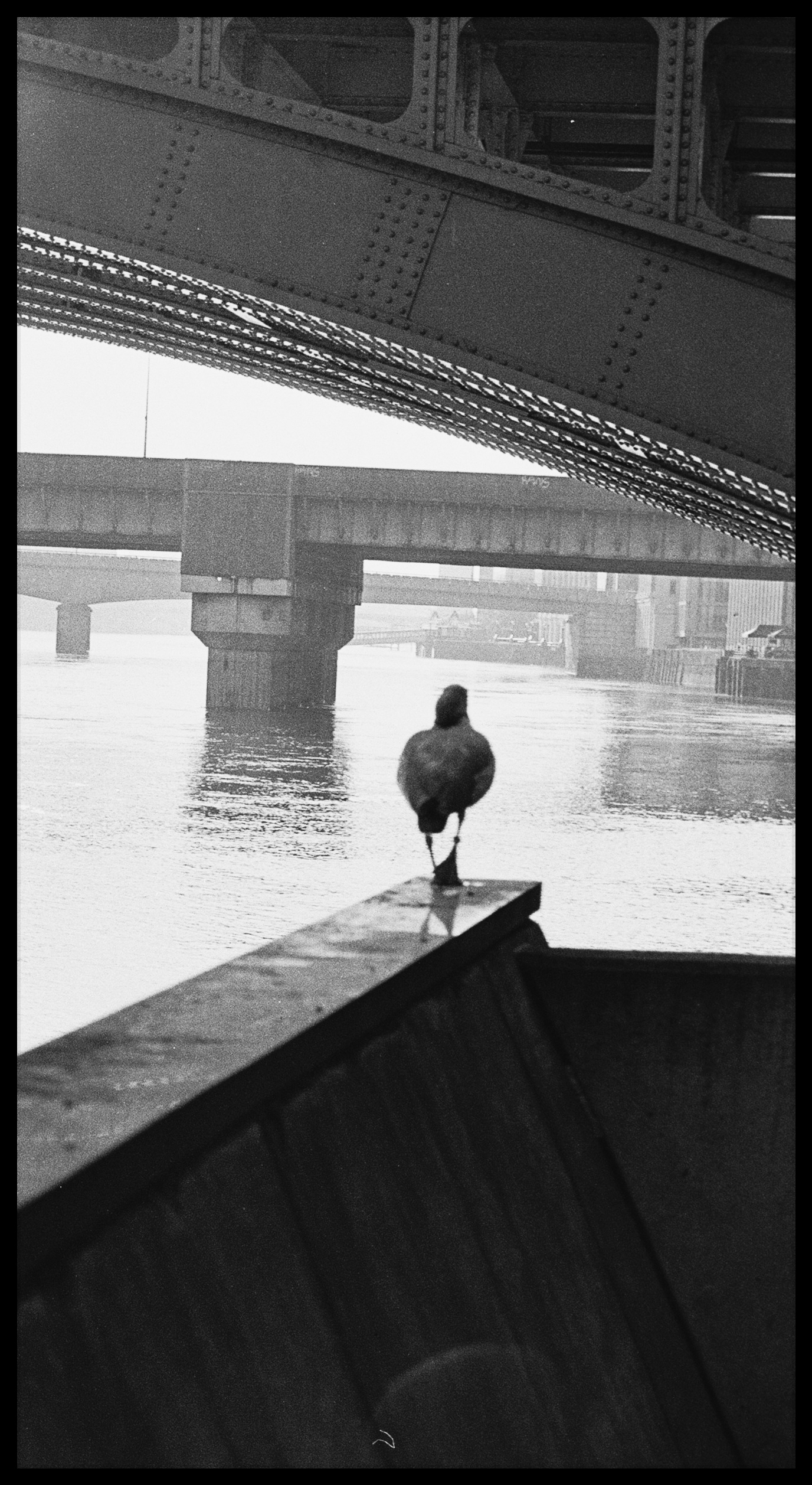 Contact - Eifion Evans Artist