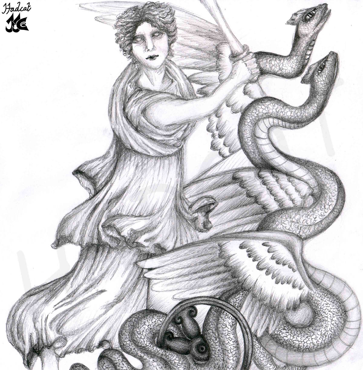 REAL IMAGES - hadcats Webseite!