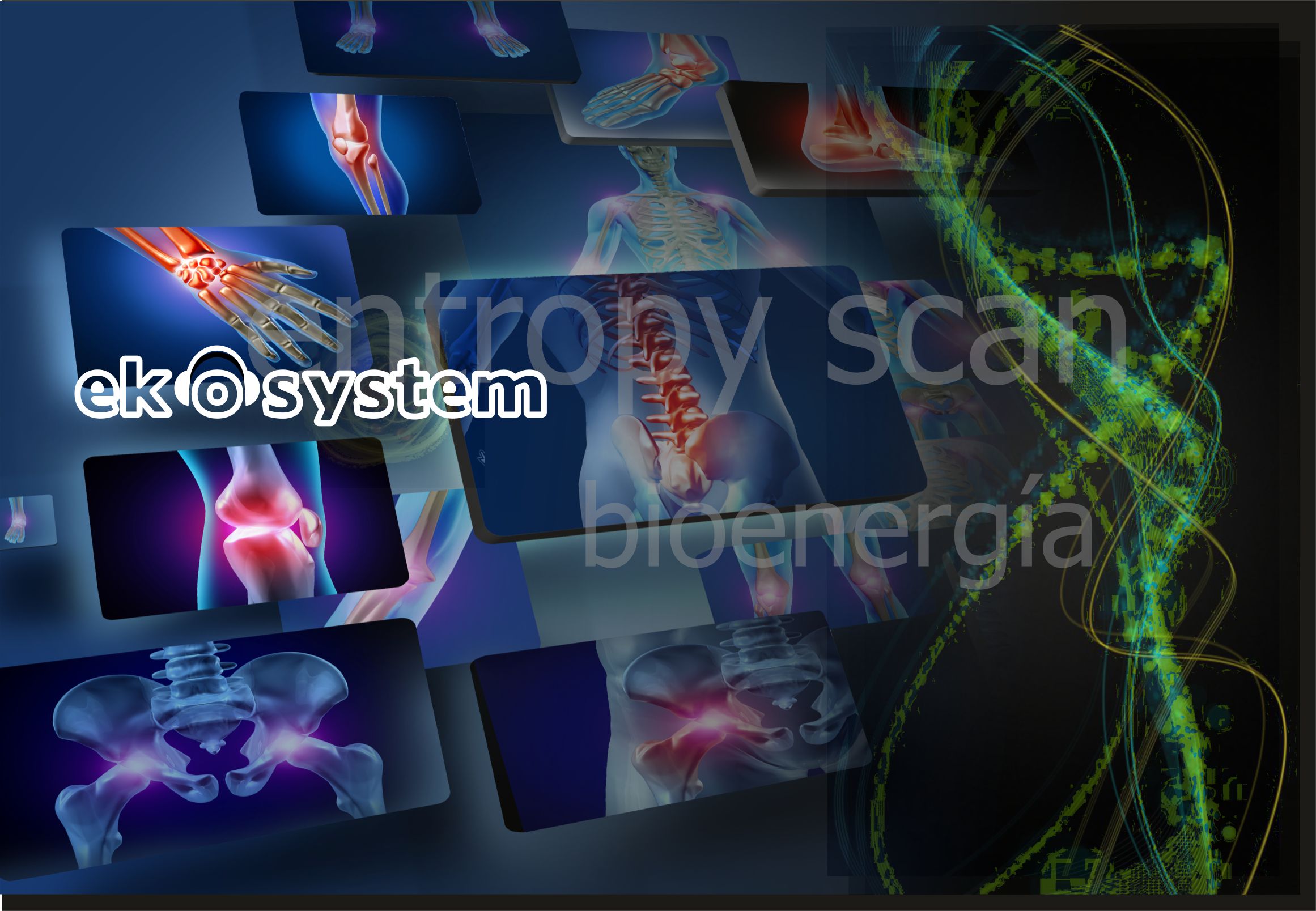 Bienvenidos a Ekosystem NLS - Ekosystem Biotracking Cuántico