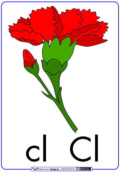 Combinación "cl" - Página web de lectoescrituragrado1sm