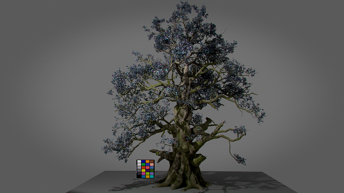 Speed Tree - environment 3d art