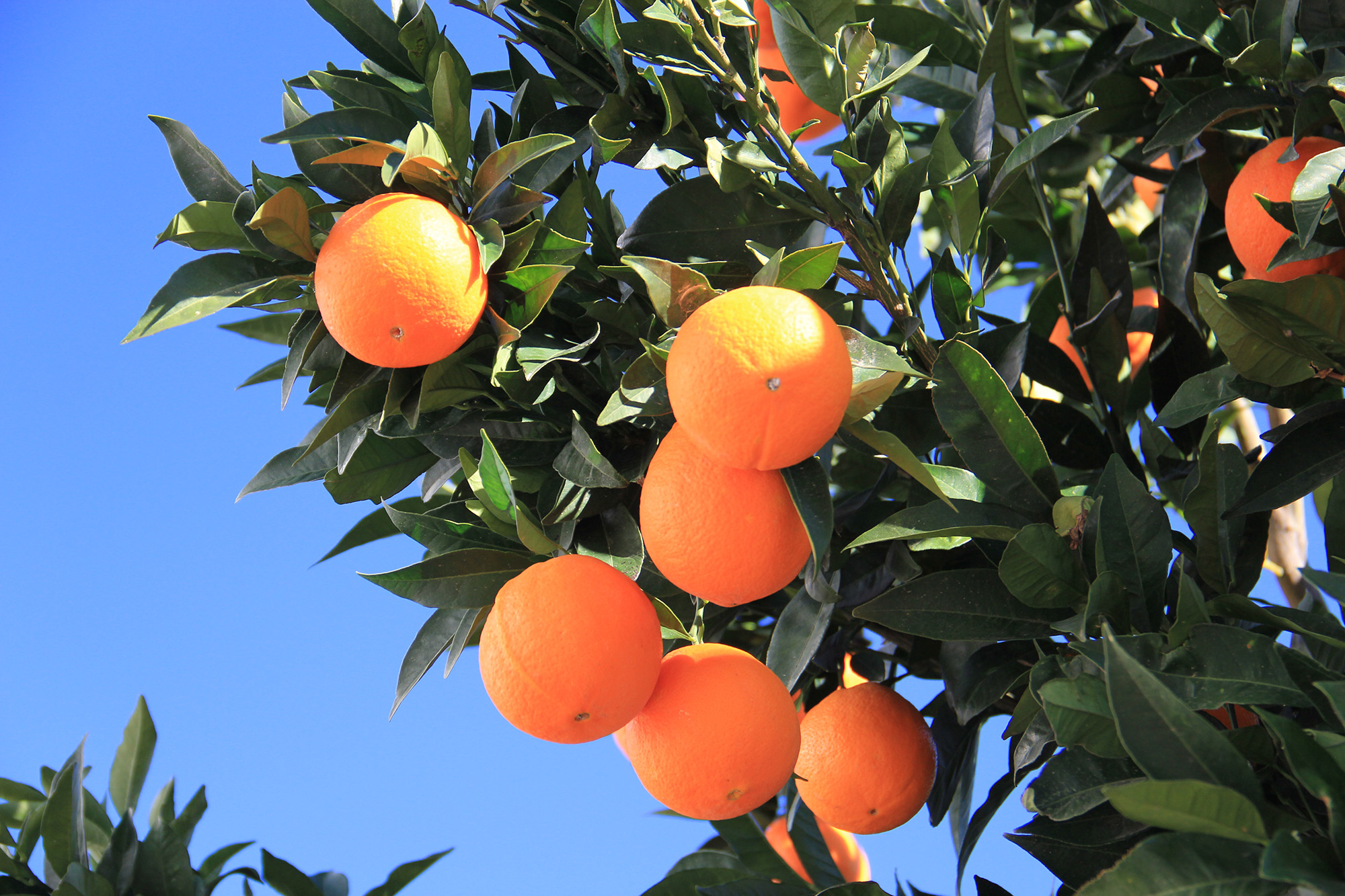 Museums in Valle Lecrin - Exclusive Granada - Exclusive accommodations ...