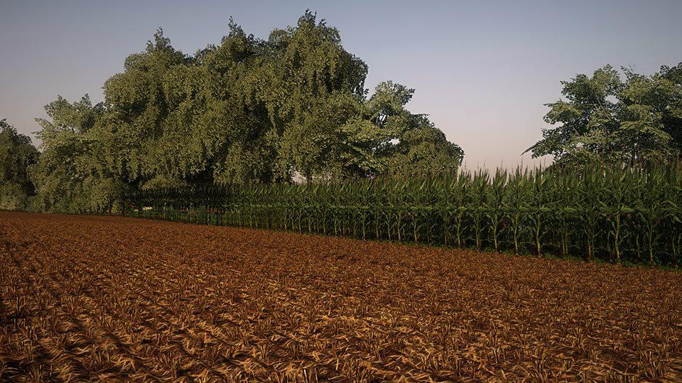 Texture Fs19 - Site de teamagripixs