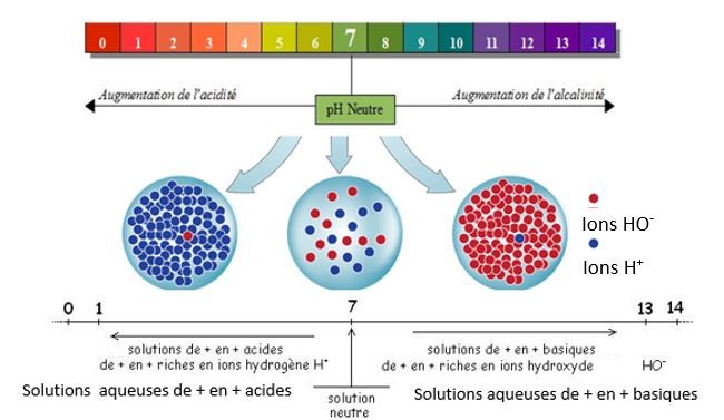 Acides, bases et pH - Site de salle321