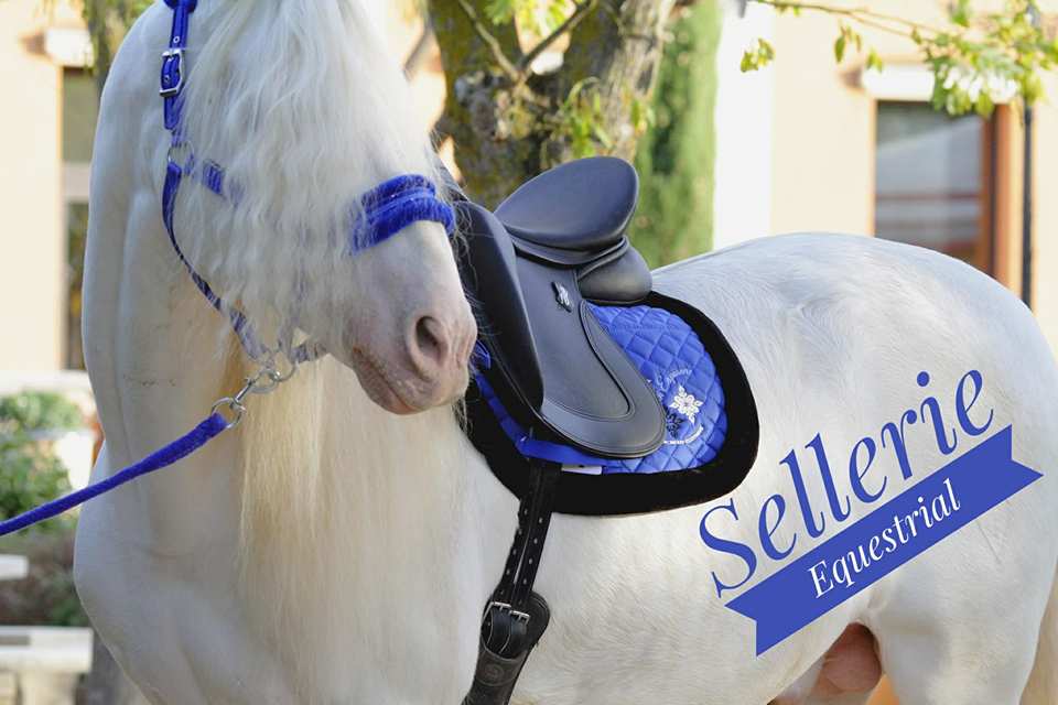 Sellerie Equestrial - Sellerie Equestrial - Passionnément cheval