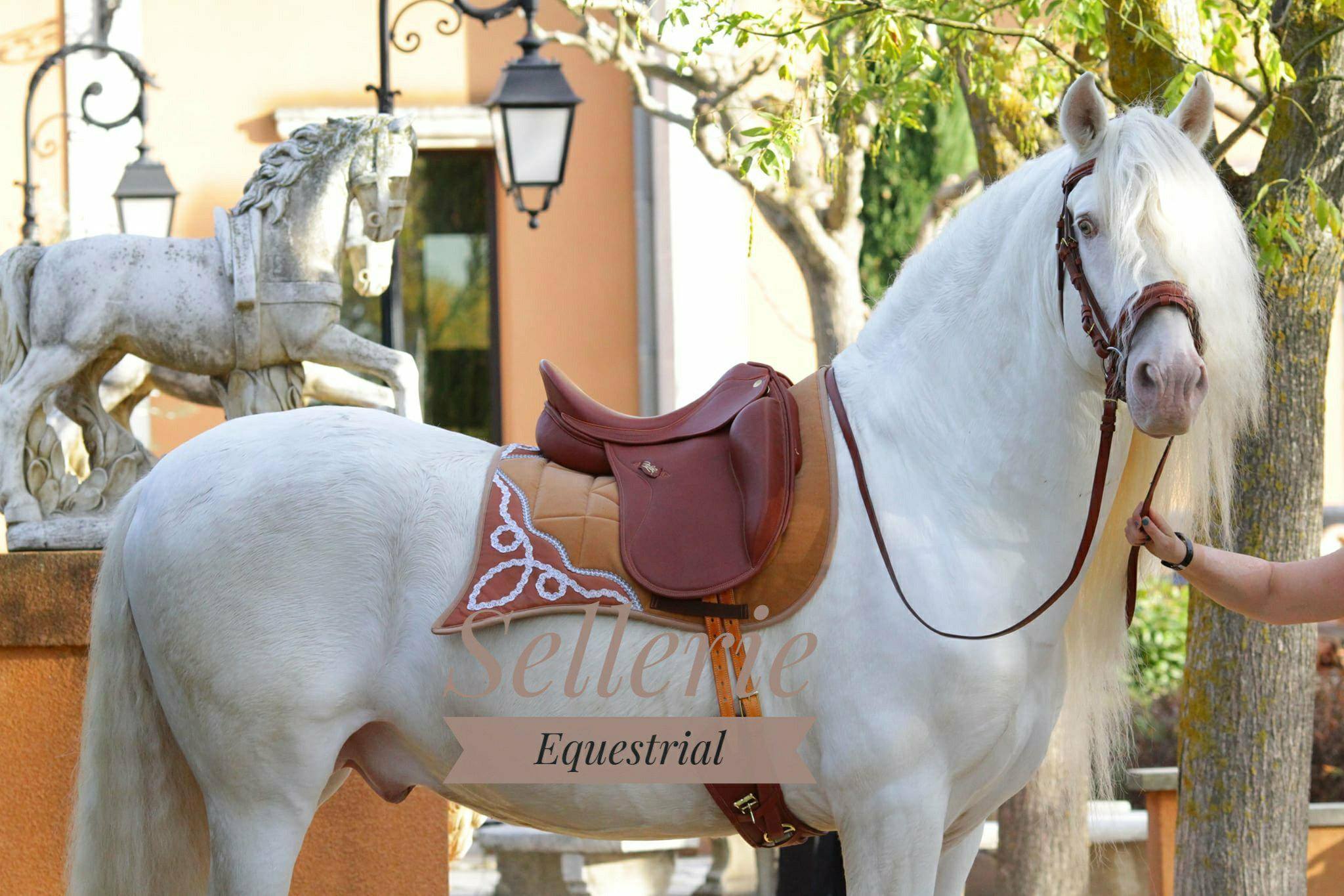 Sellerie Equestrial - Sellerie Equestrial - Passionnément cheval