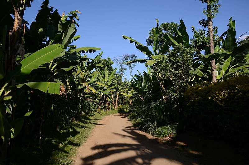 TANZANIA - The-NALA-Project