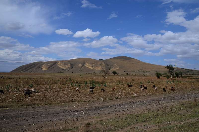 TANZANIA - The-NALA-Project