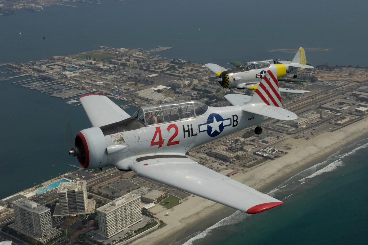 Formation Flight Photos - The Condor Squadron