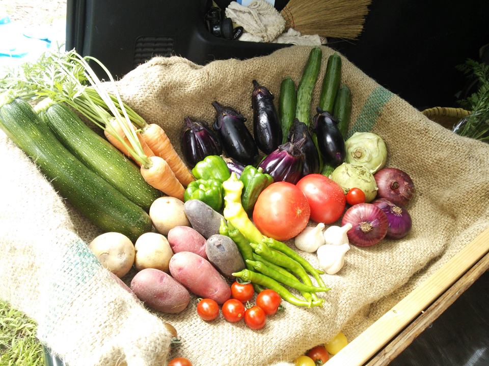 Welcome to NICE FARM - ナイスファーム