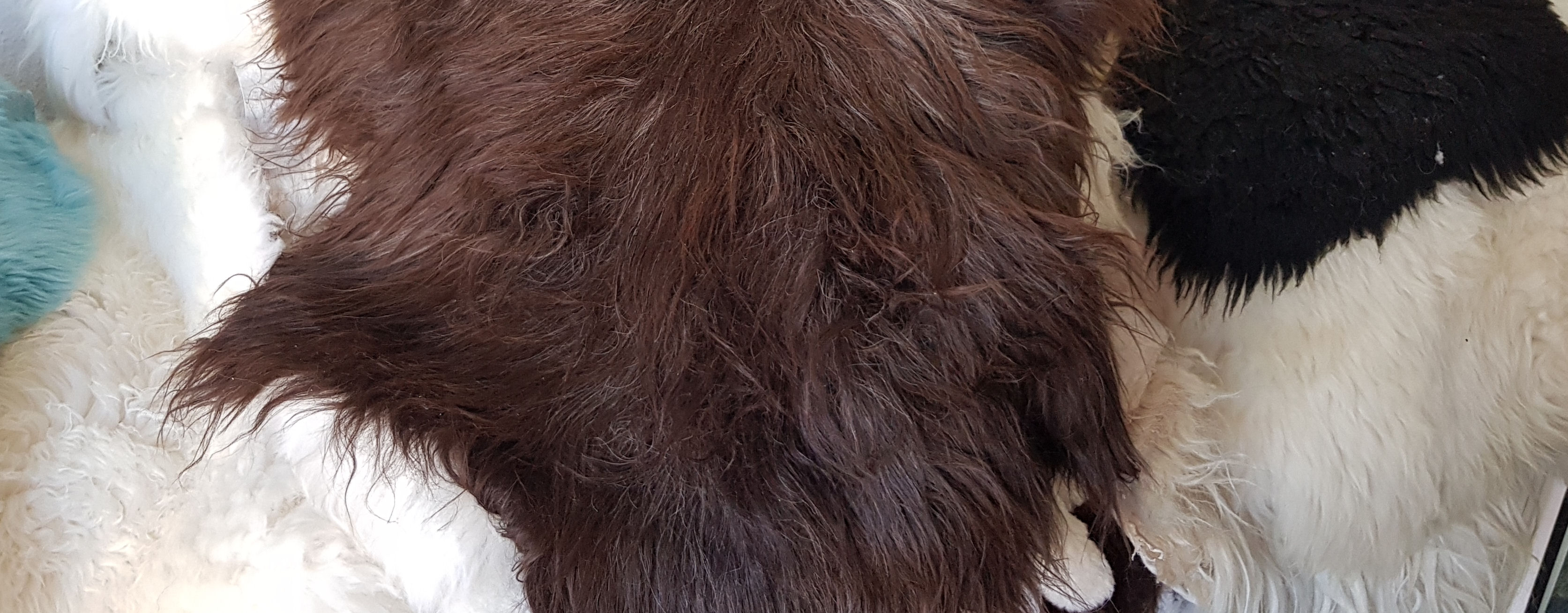 Bei uns können Sie Ihre Felle gerben lassen - Bettinas Fellladen