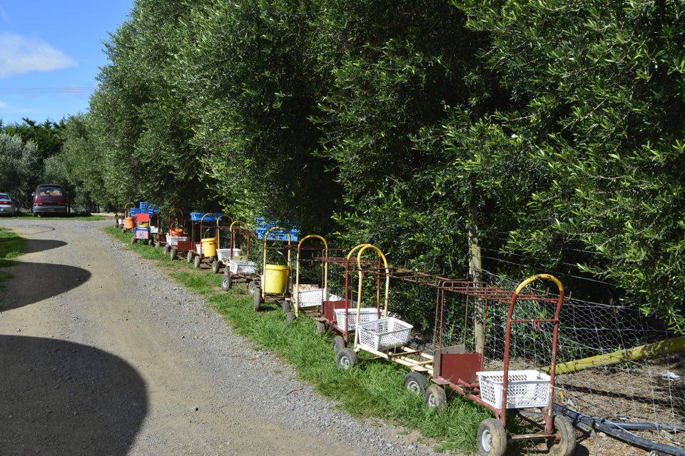 Wee Red Barn Berryfarm – Wie lange halten wir DAS aus?! - im-land-der ...