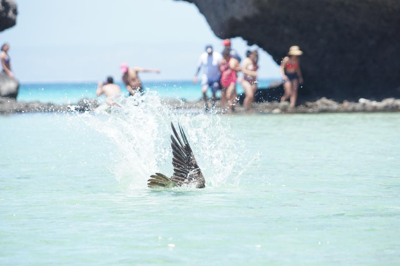 5. Balandra - dani-on-boats Webseite!