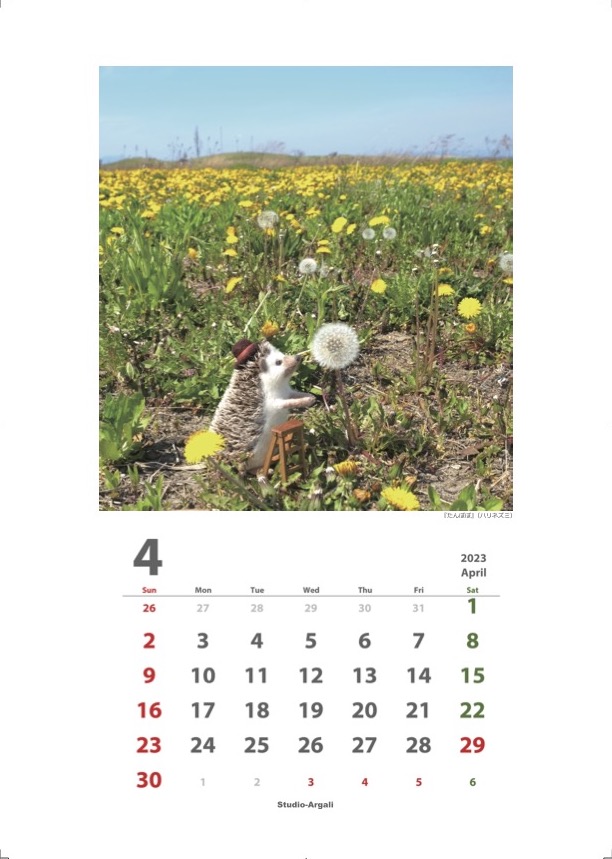 Gallery（2022） - studio-argali ページ！