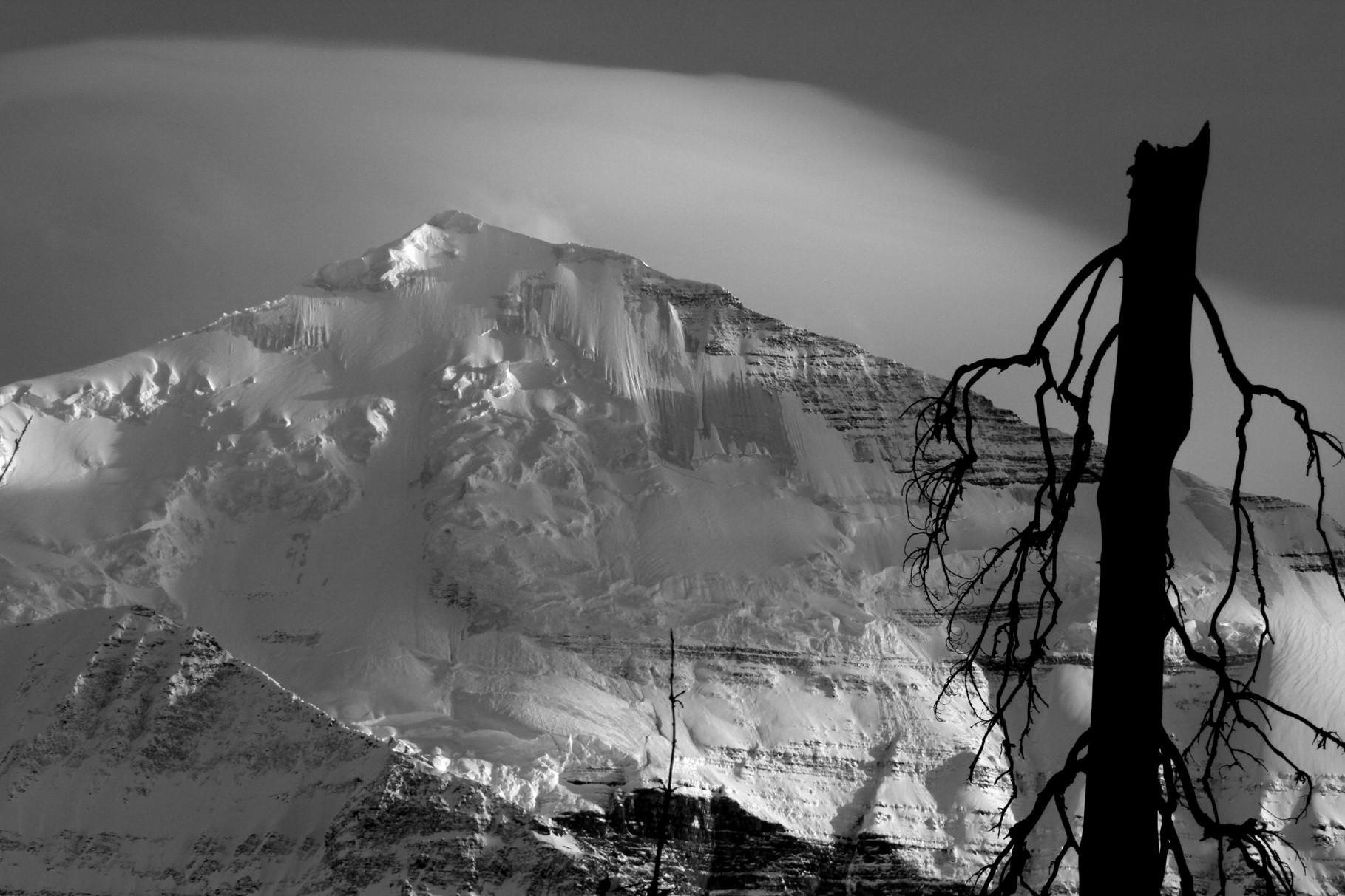 2014 Mt.Clemenceau N face trip. - 廣田勇介写真事務所 Yuske Hirota Photography