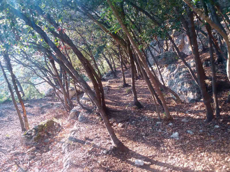 Ring Grotta dell'Edera (Ivy Cave) - Passeggiate ed Escursioni alla ...