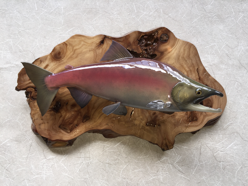 ホーム - ヒカリ魚類ハクセイ hikari fish taxidermy studio