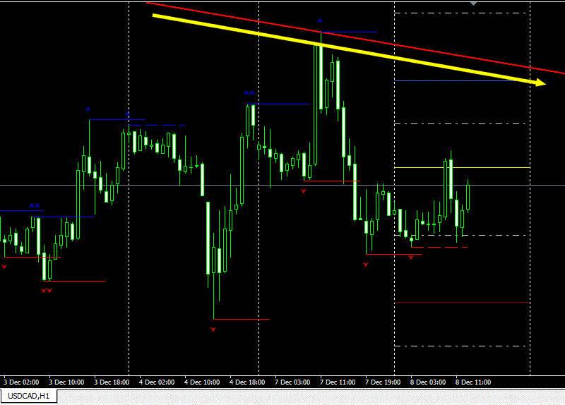 Only Profit System Forex Winners Free Download