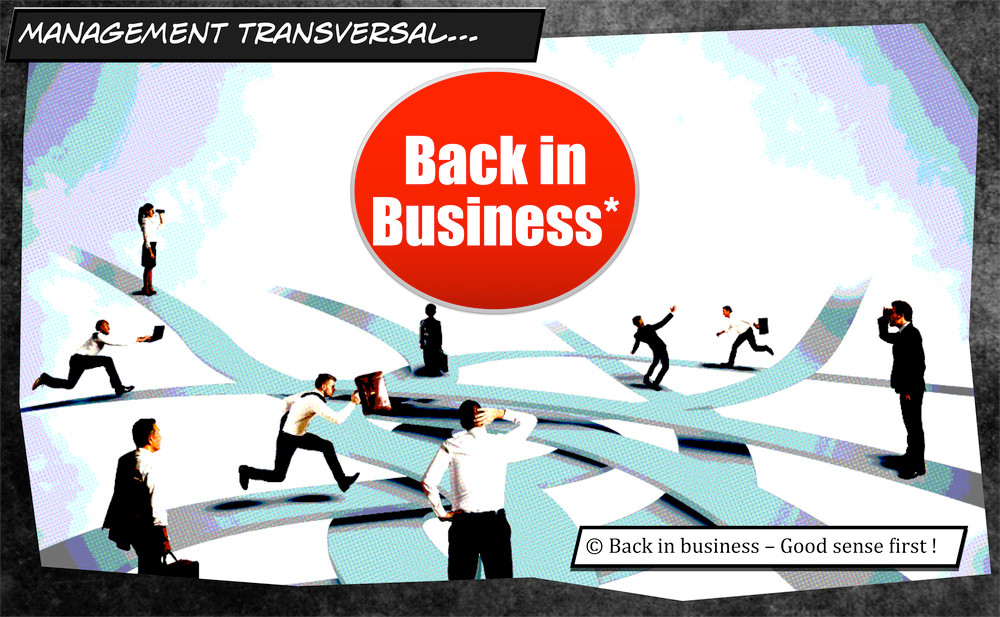 Manager en transversal orienté business ! - Back in business - Good ...