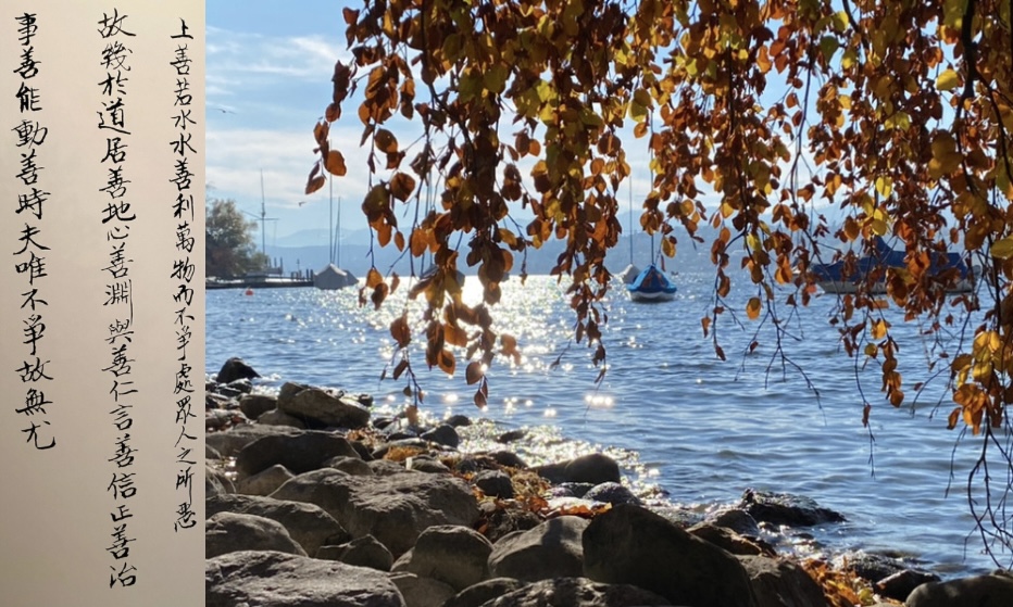 Taiji - daoistische Prinzipien in der Praxis - taiji-meditation-zuerich.ch