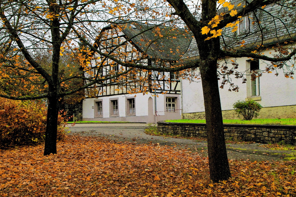 Das Wohnheim - Blitzlichtkabinett