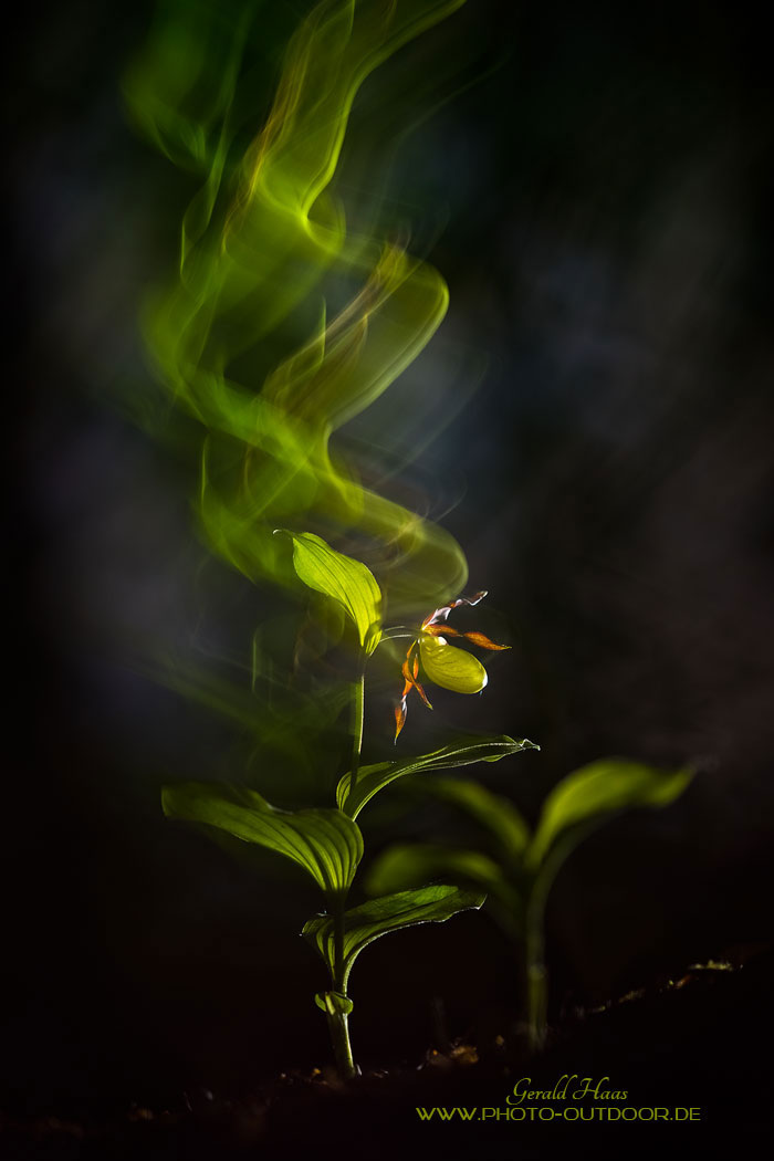 Kreative Makrofotografie - photo-outdoor.de Naturphotographie, Reisen ...