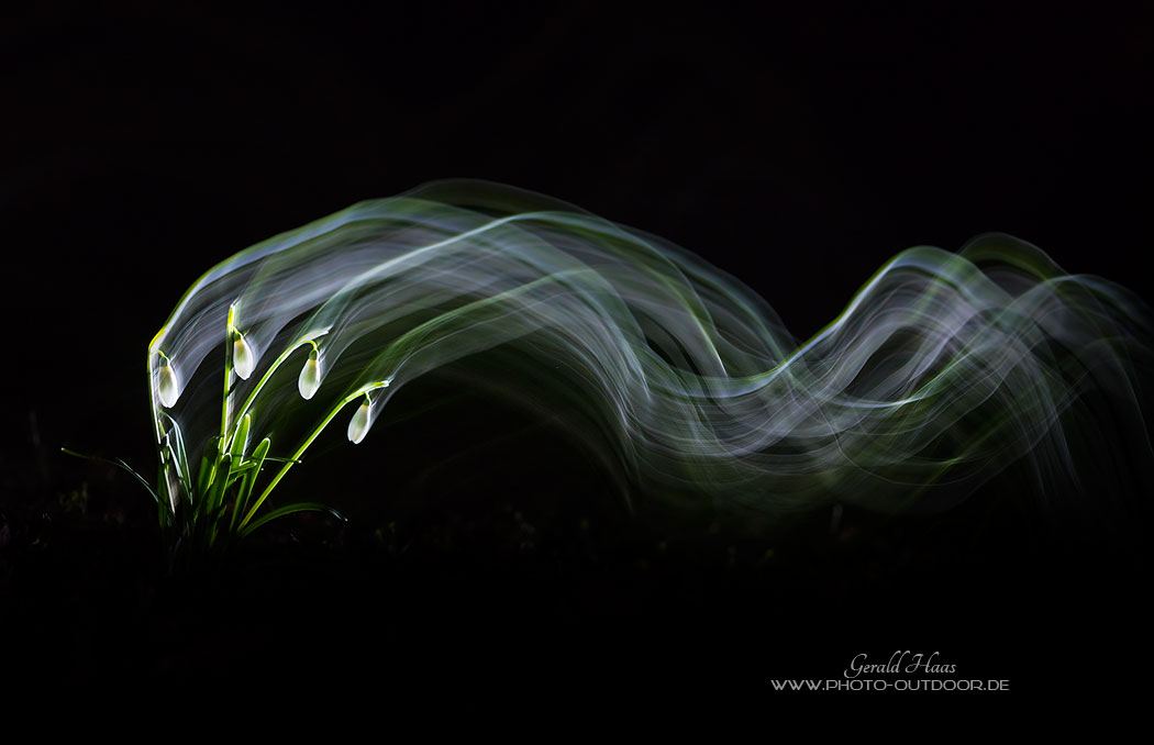 Kreative Makrofotografie - photo-outdoor.de Naturphotographie, Reisen ...