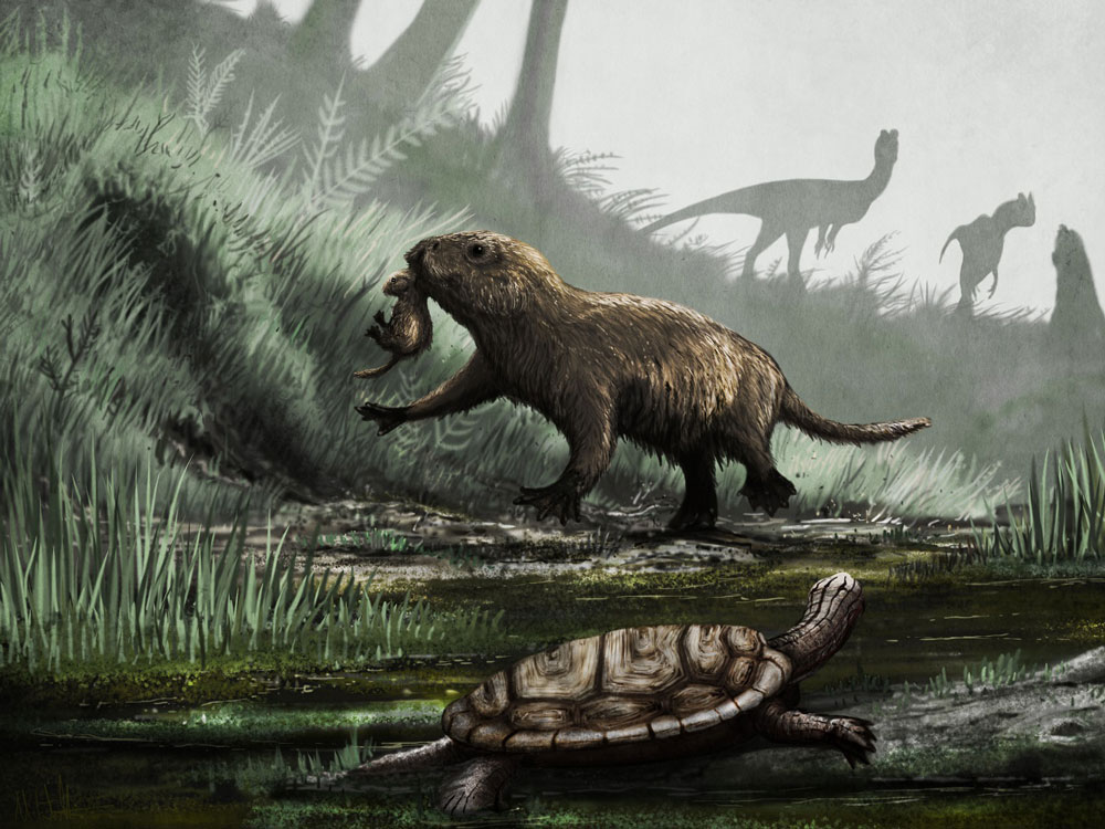 Mammals Likely Became Day Dwellers After Non-Avian Dinosaurs Died Off ...