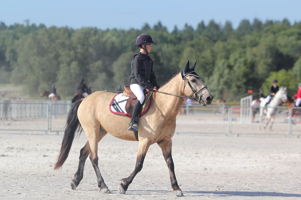 Gold - Site de club hippique de lescar