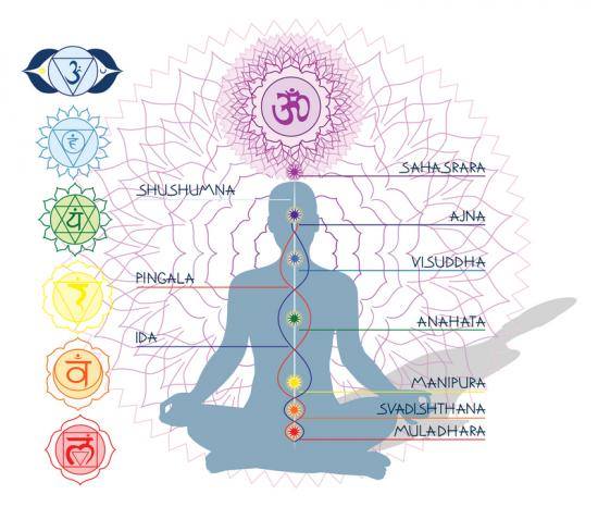 LES NADIS - Site de satya-yoga-nc