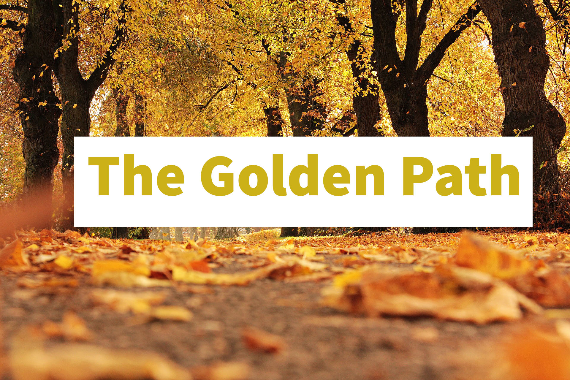 "The Golden Path" - susannebehrendt-des Webseite!