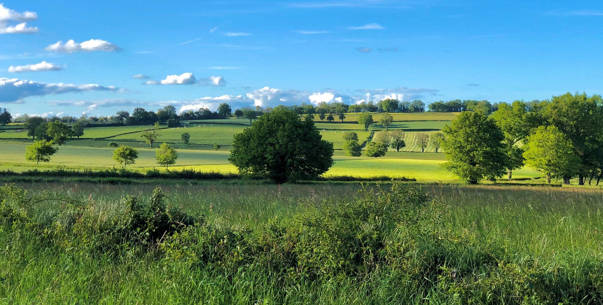 l'Histoire Sourde - LSF 03 langue des signes Montluçon Allier