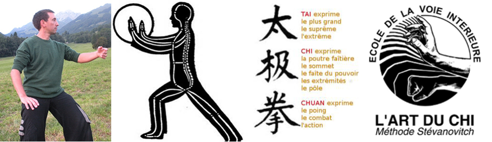 Aide à la pratique - L'ART DU CHI Tai-chi et Qi-gong en Savoie, Hte ...