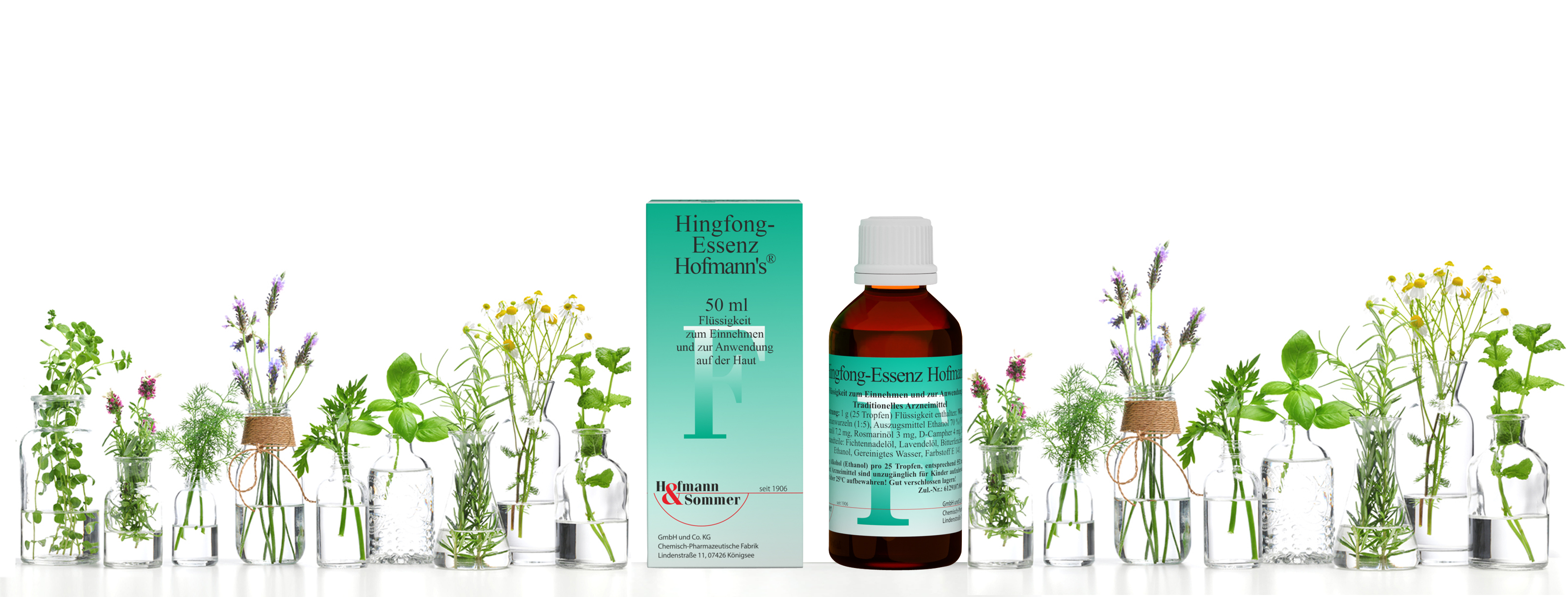 Hingfong-Essenz Hofmann´s - Hofmann & Sommer