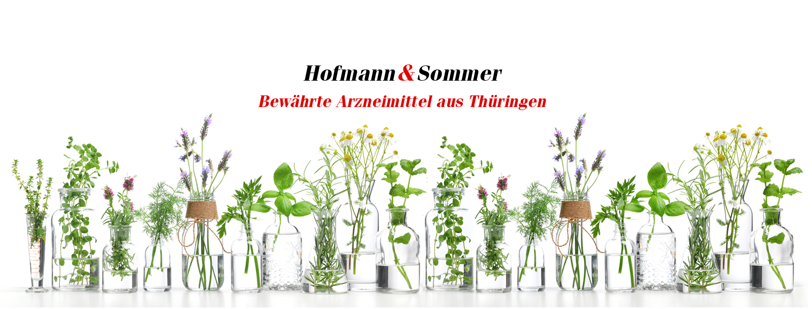 Autoren & Themen - Hofmann & Sommer