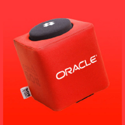 Custom Cover - Catchbox Schweiz